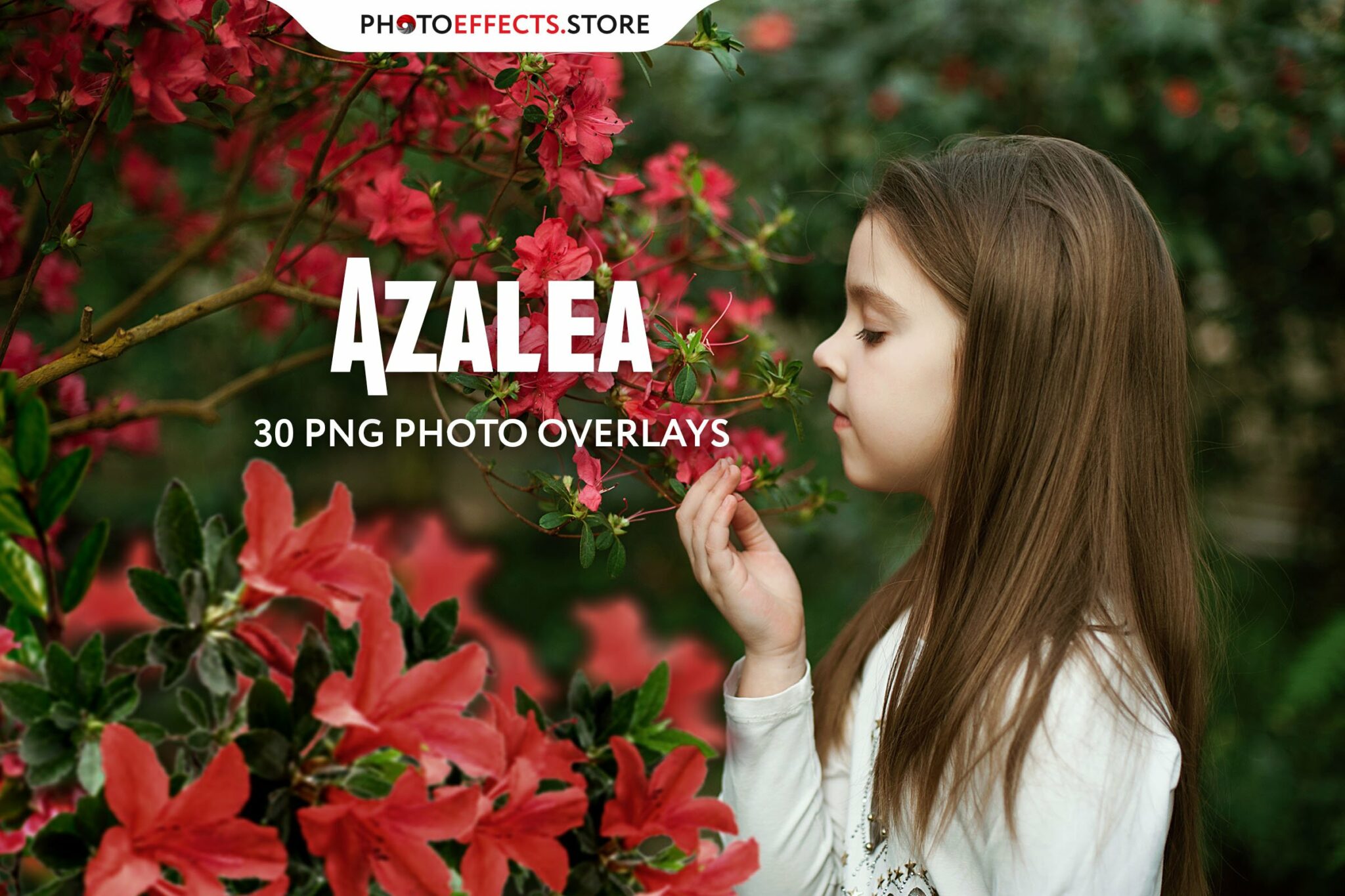 30 Azalea Photo Overlays – MasterBundles