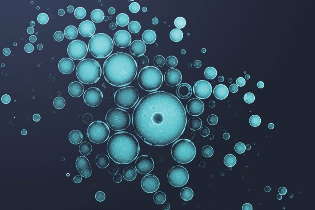 Cell Photoshop Brushes – MasterBundles