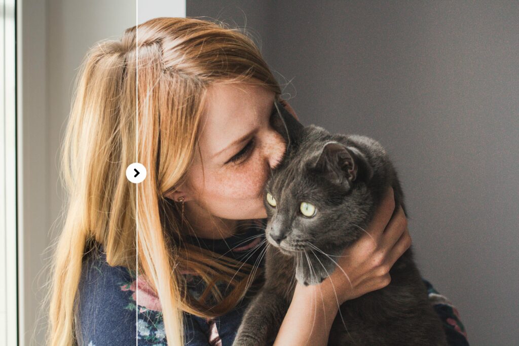 Bright Colors - 15 Lightroom Presets – MasterBundles