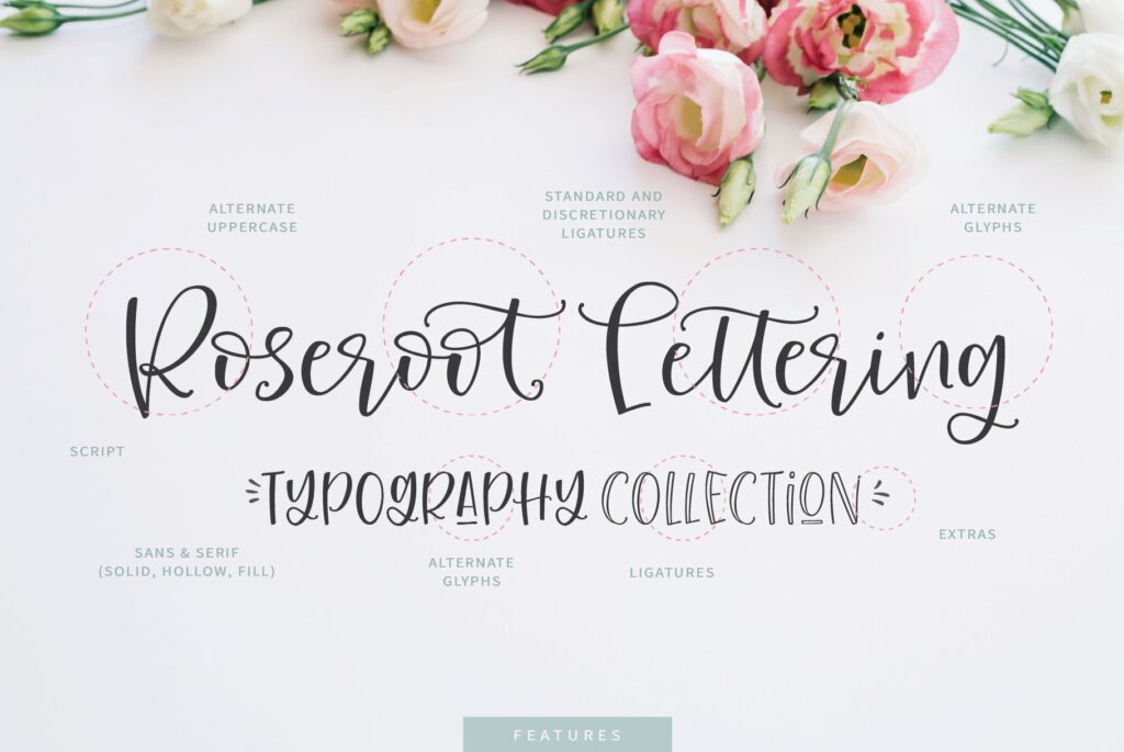 Roseroot Cottage Font Collection – MasterBundles
