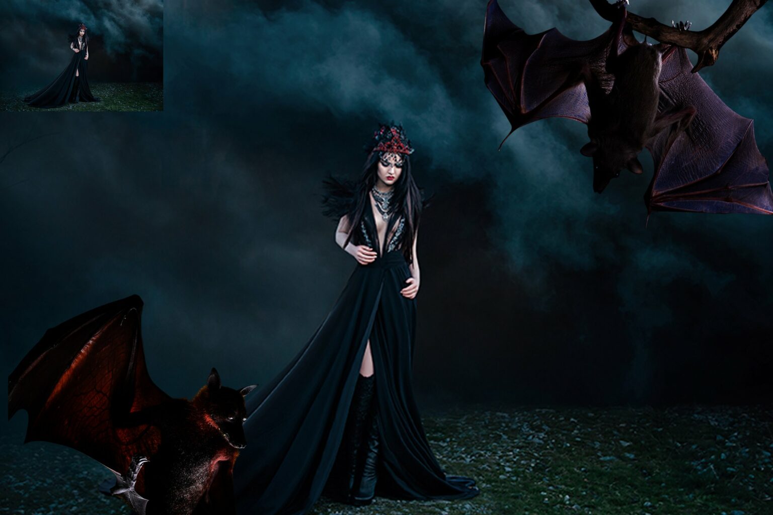 20 Bat Photo Overlays – MasterBundles