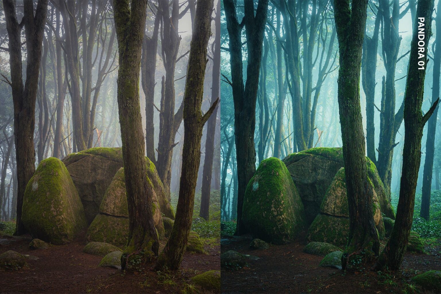 25 Enchanted Forest Lightroom Preset – MasterBundles