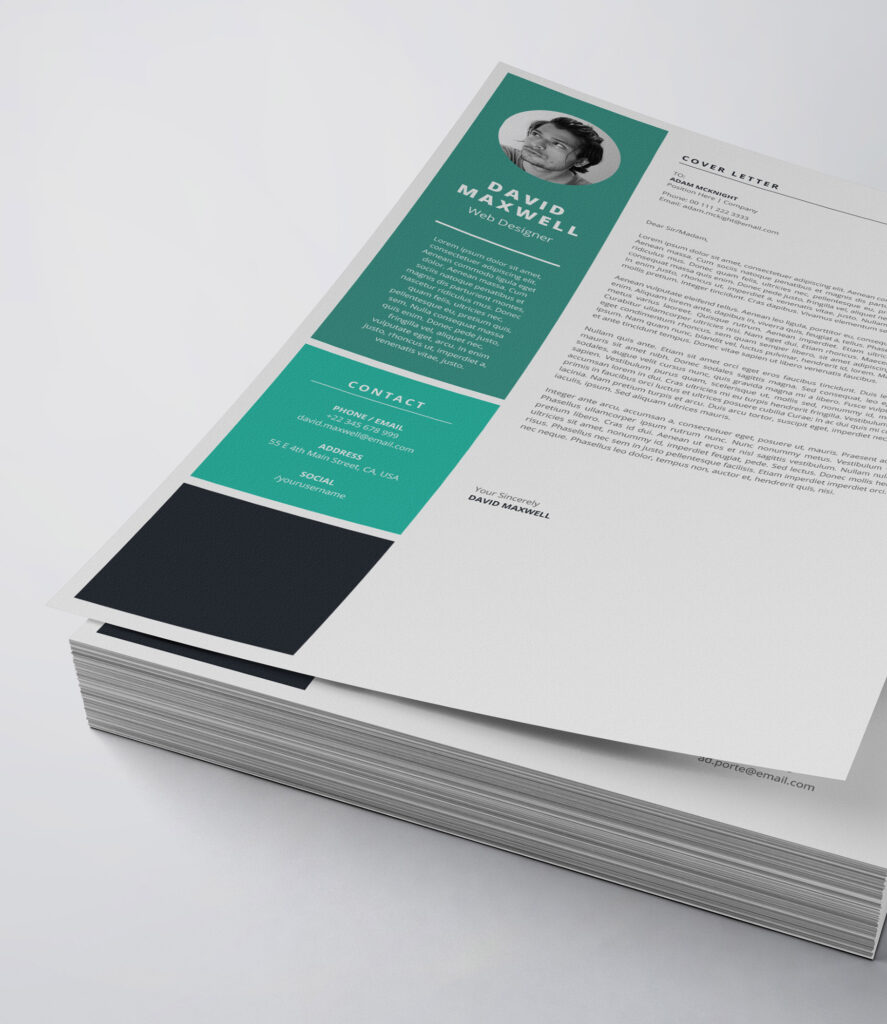 Clean Resume/CV Template Idea - MasterBundles