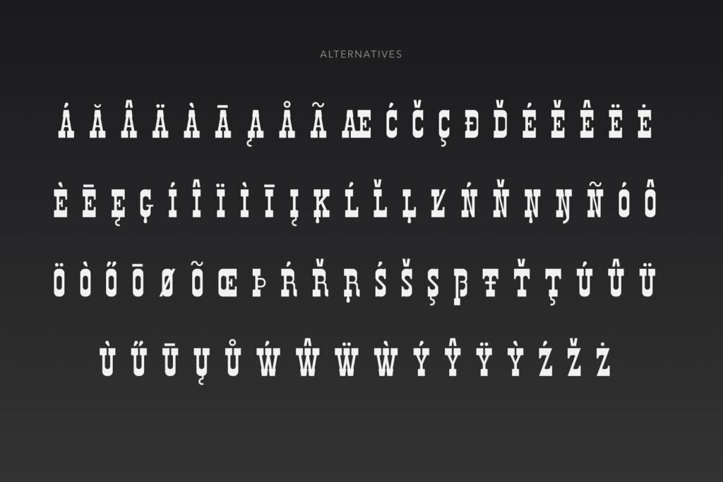 STONE HORSE - Vintage SlabSerif Font – MasterBundles