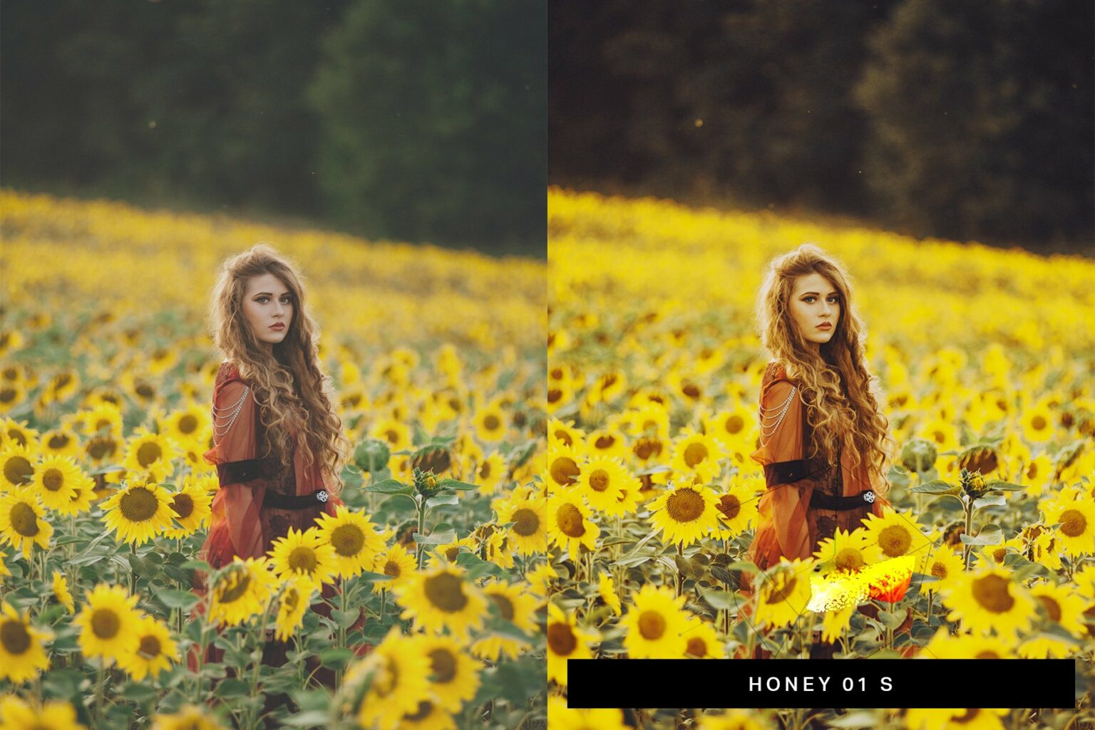 50 Moody Lightroom Presets and LUTs – MasterBundles