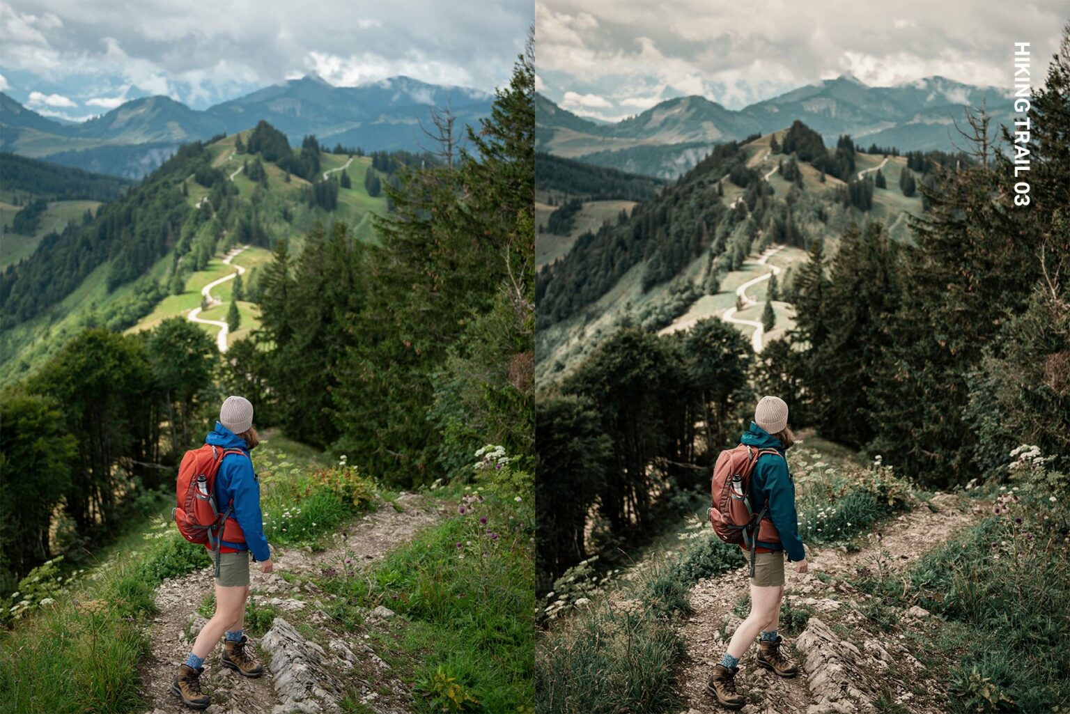 25 Enchanted Forest Lightroom Preset – MasterBundles