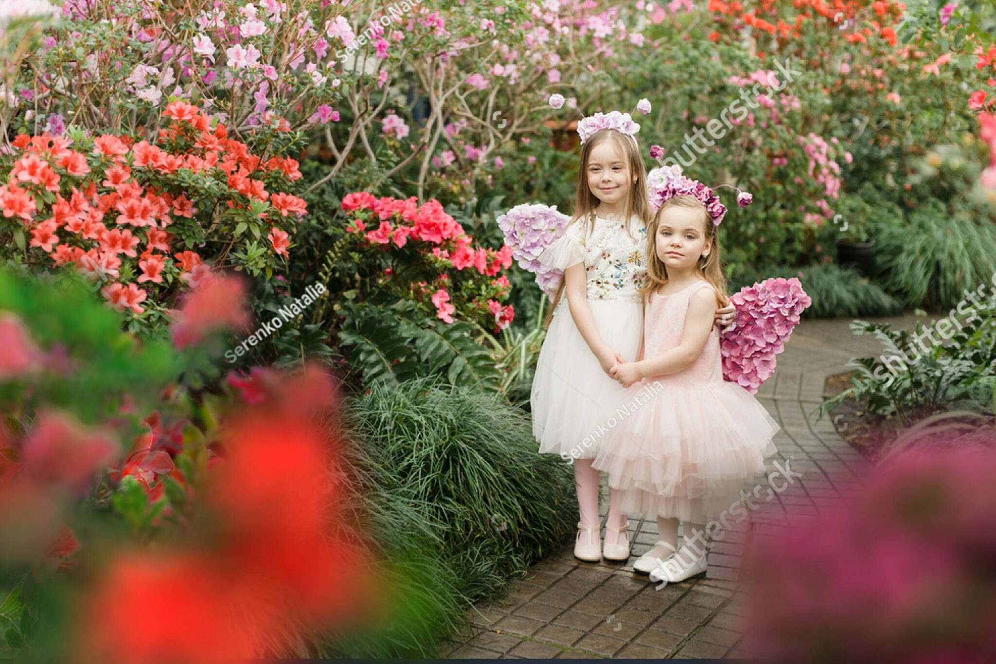 30 Azalea Photo Overlays – MasterBundles