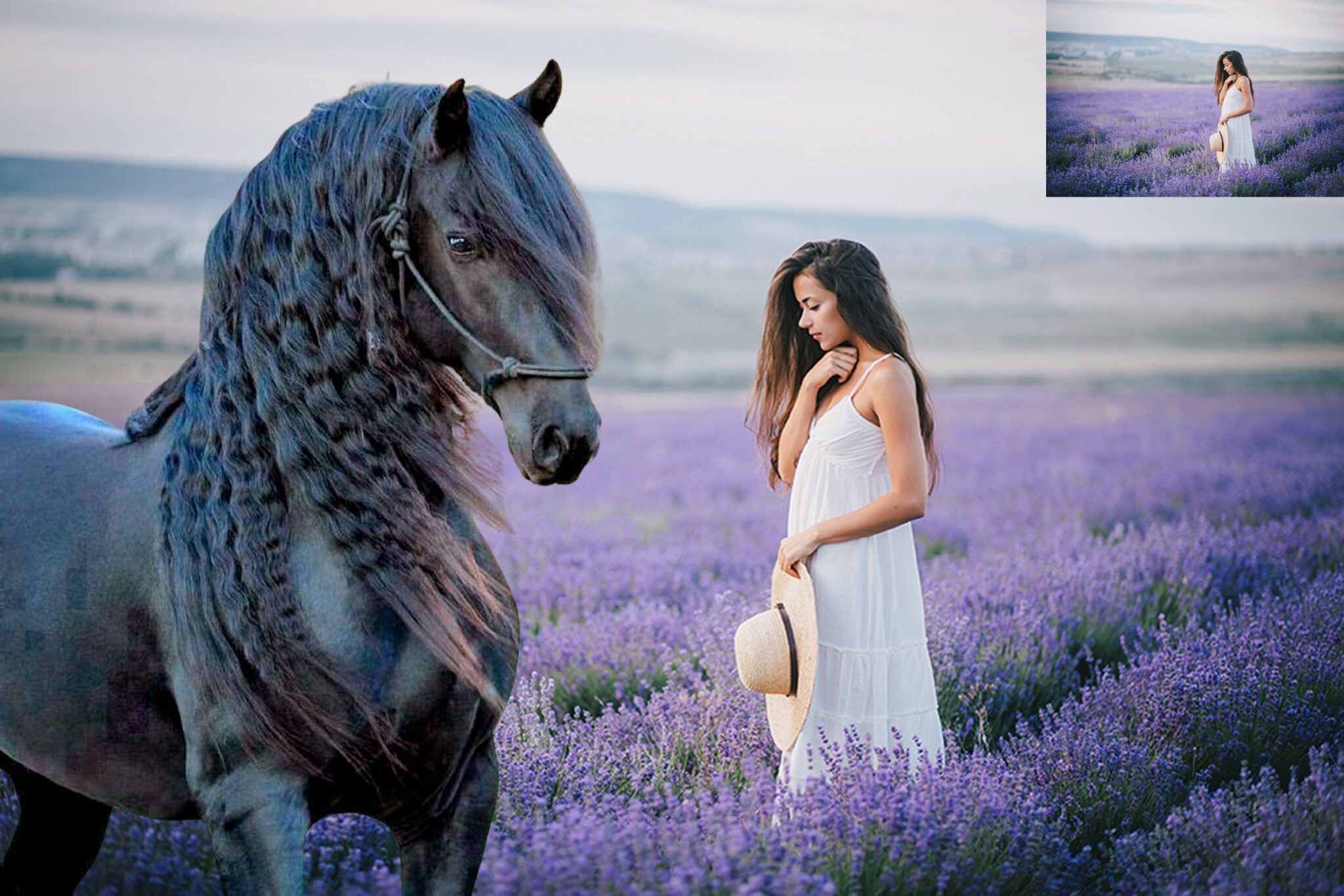 33 Horse Photo Overlays – MasterBundles