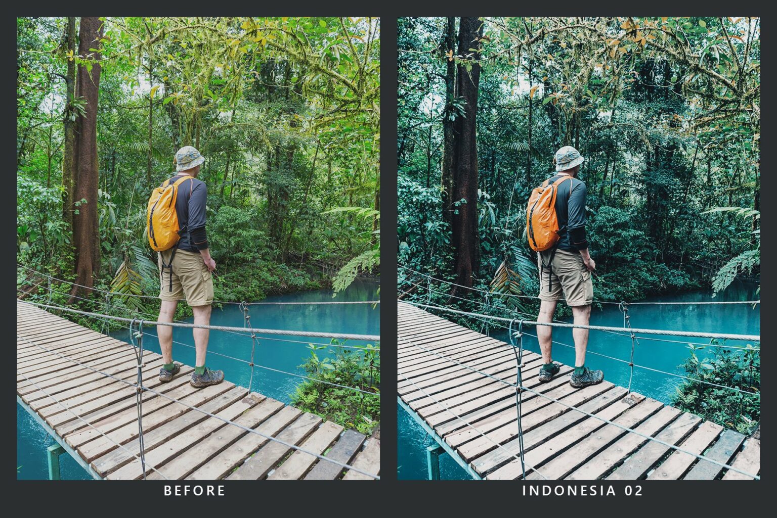 20 Rainforest LR Presets – MasterBundles