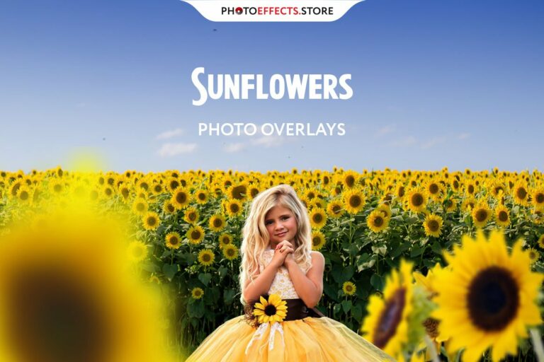 Sunflower Photo Overlays + Backdrops – MasterBundles