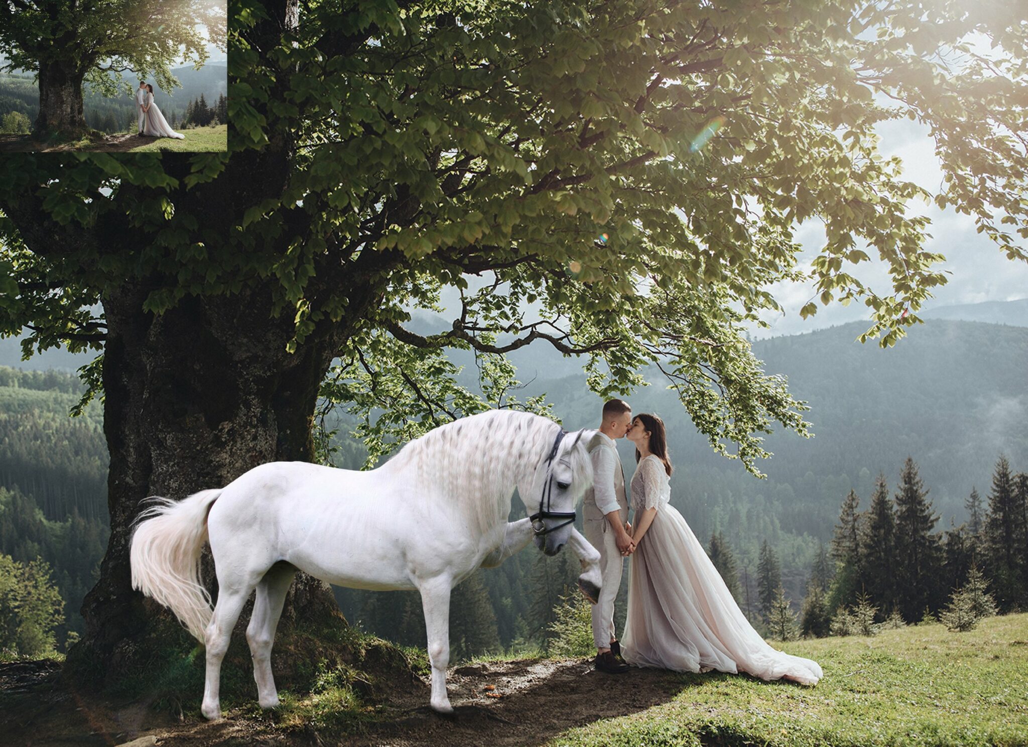 33 Horse Photo Overlays – MasterBundles