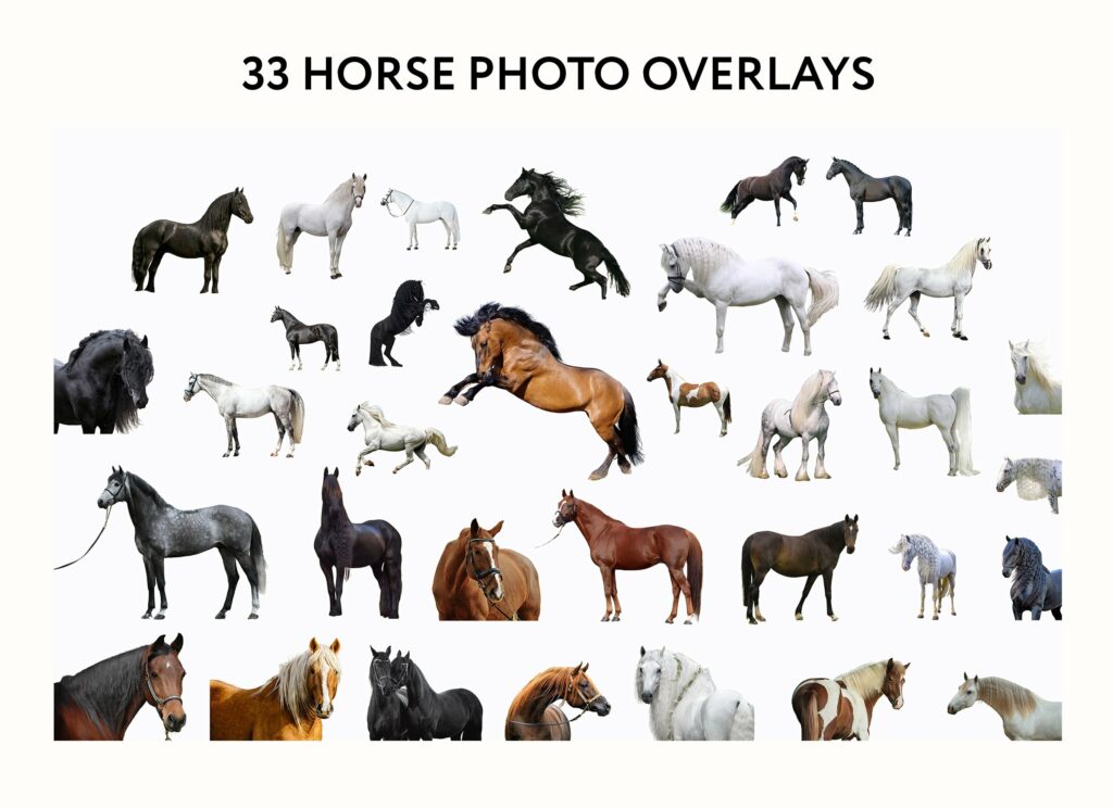 33 Horse Photo Overlays – MasterBundles