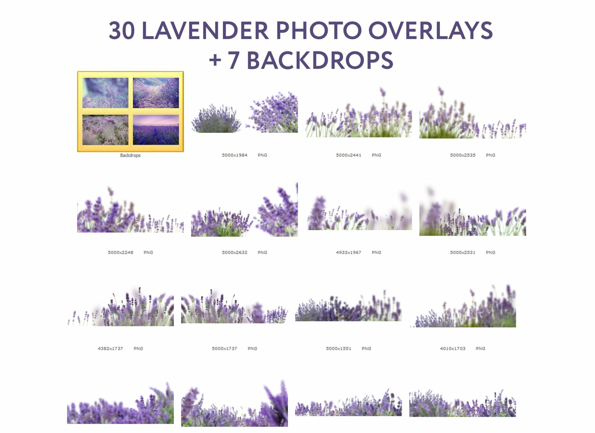 30 Lavender Photo Overlays – MasterBundles
