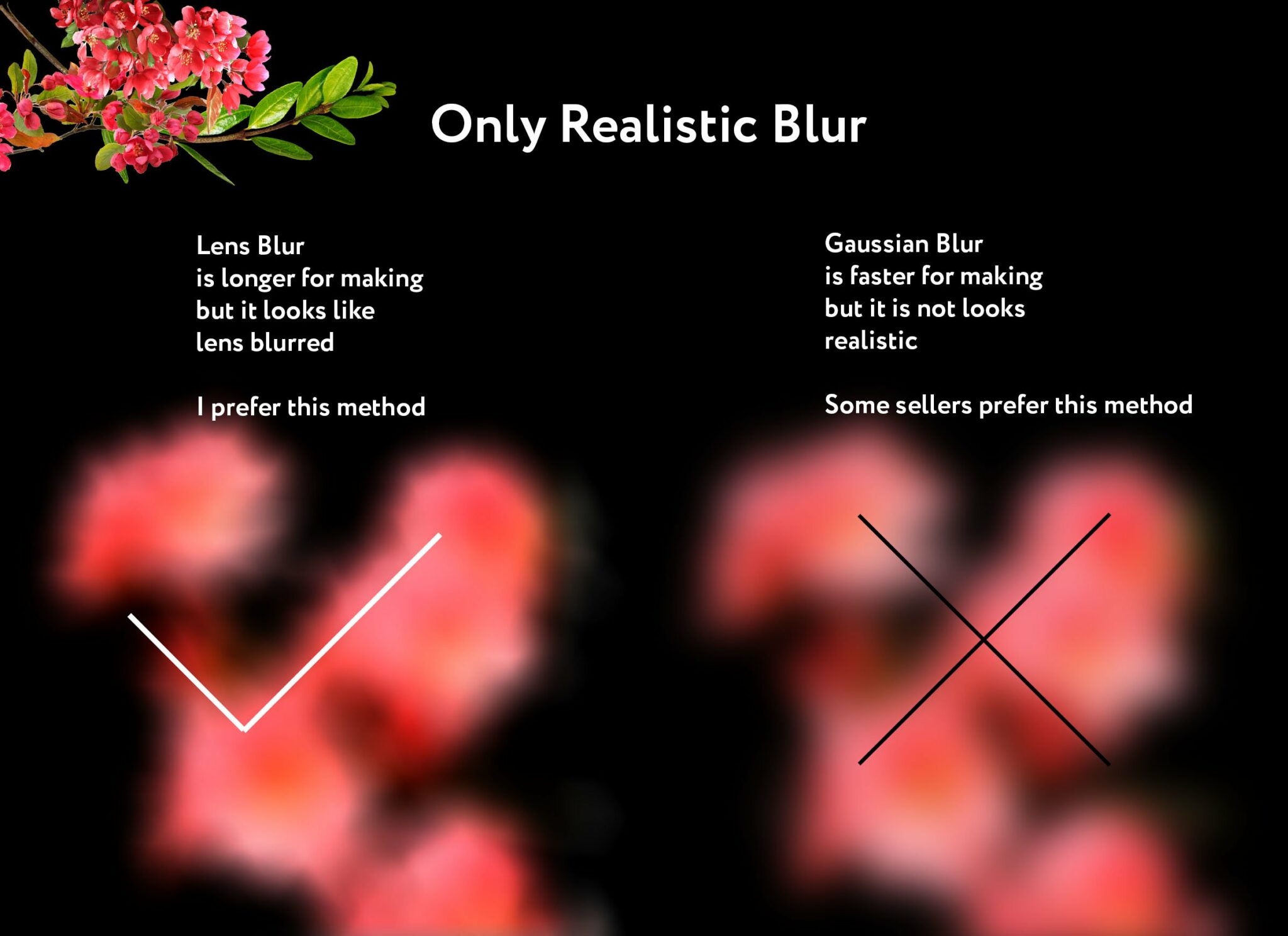 30 Azalea Photo Overlays – MasterBundles