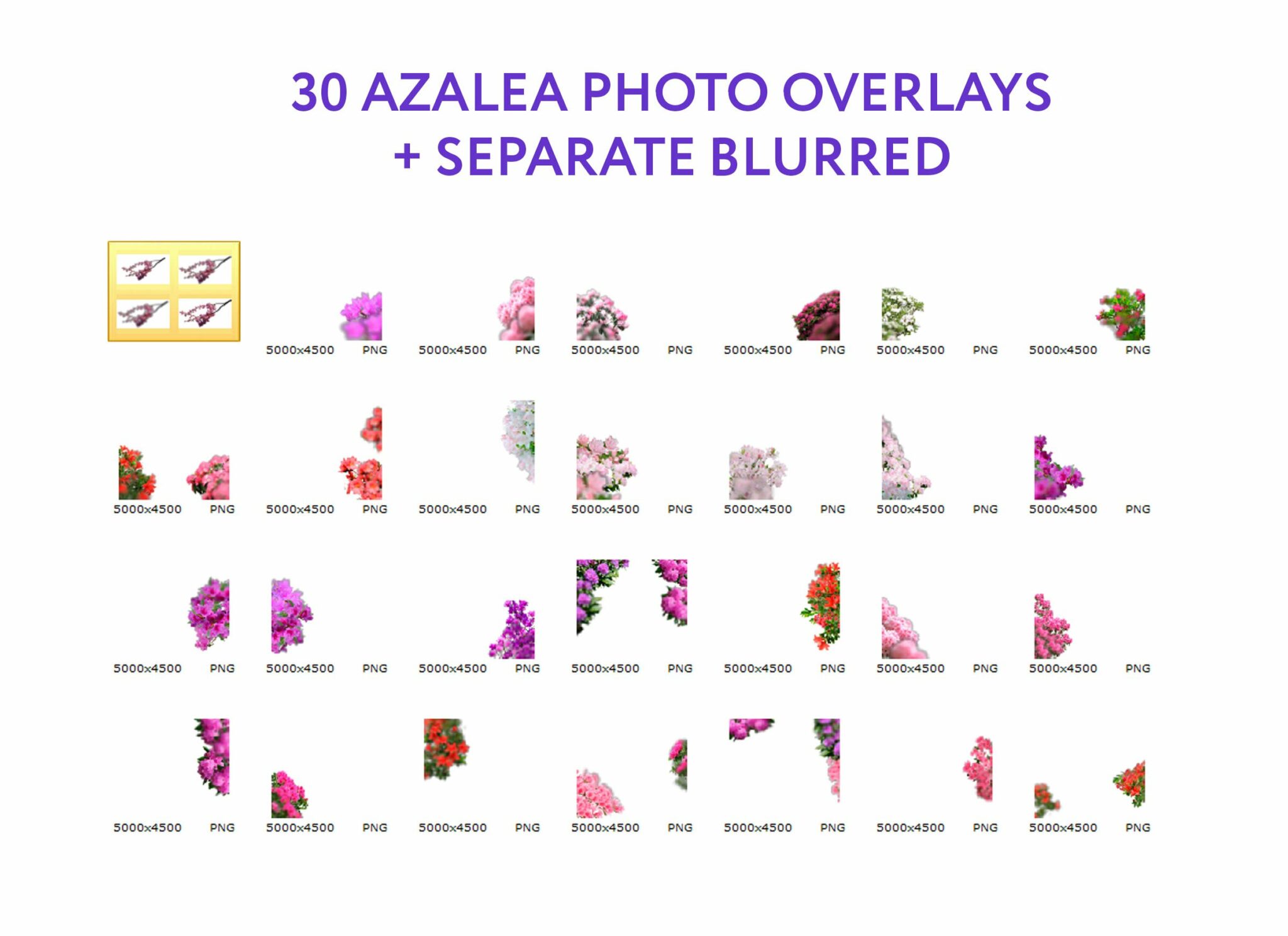 30 Azalea Photo Overlays – MasterBundles
