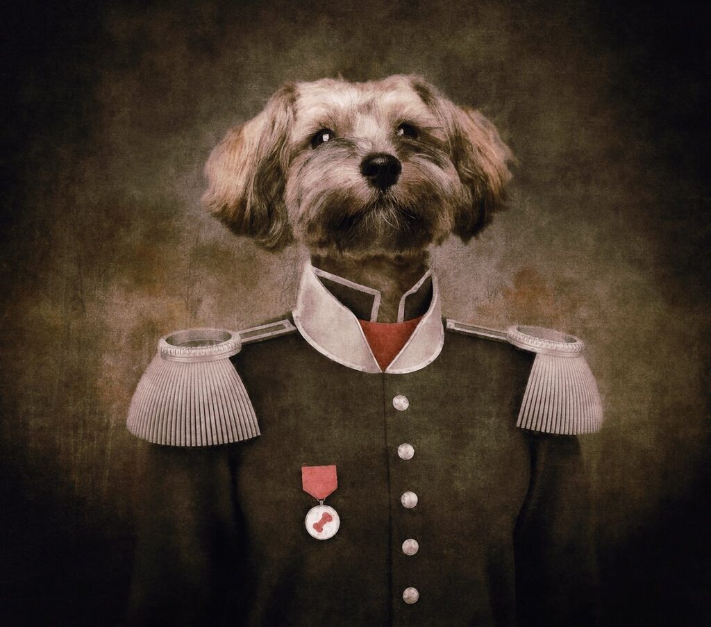 Dog General Photoshop Action – MasterBundles