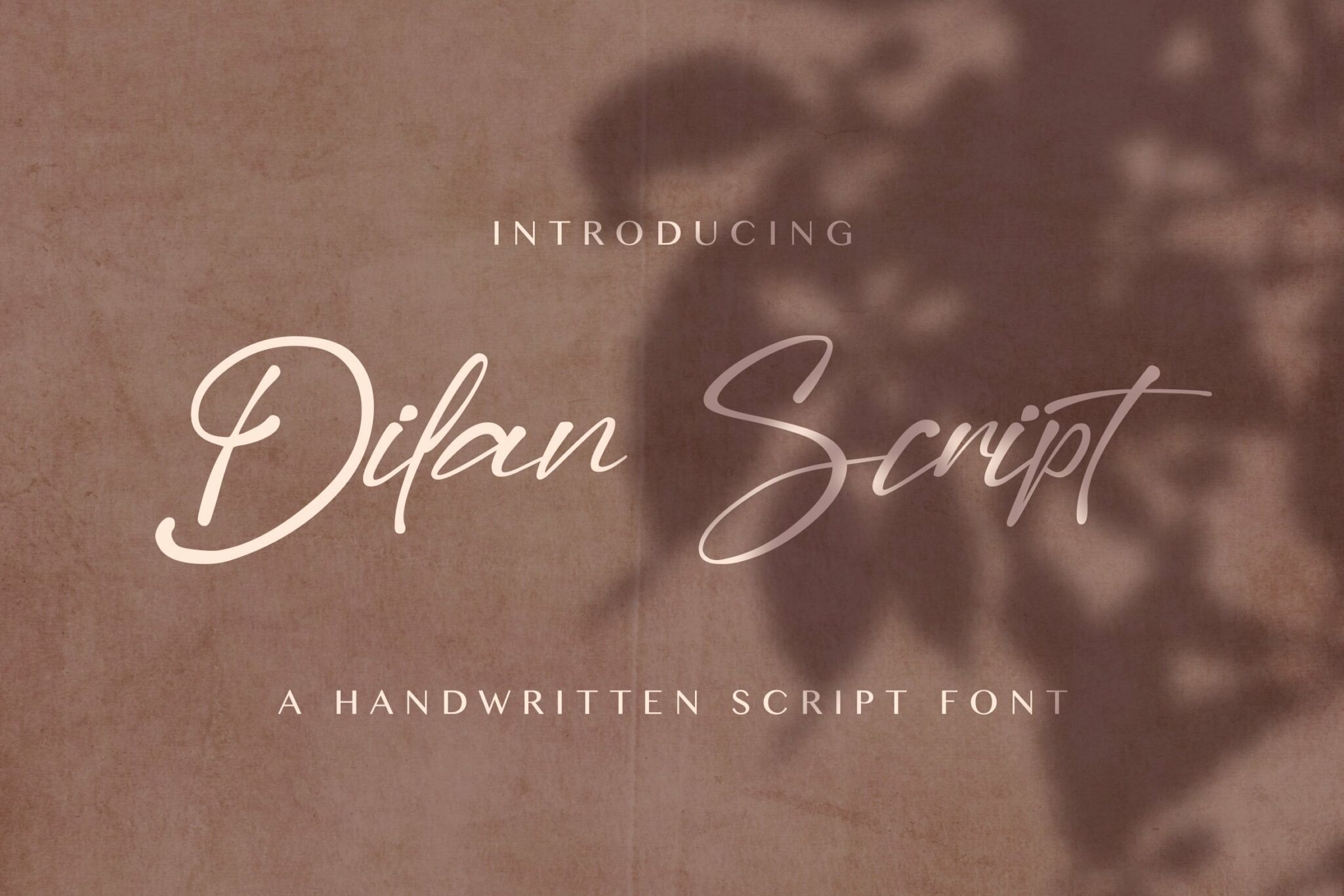 Dilan Script - Modern Script Font – MasterBundles