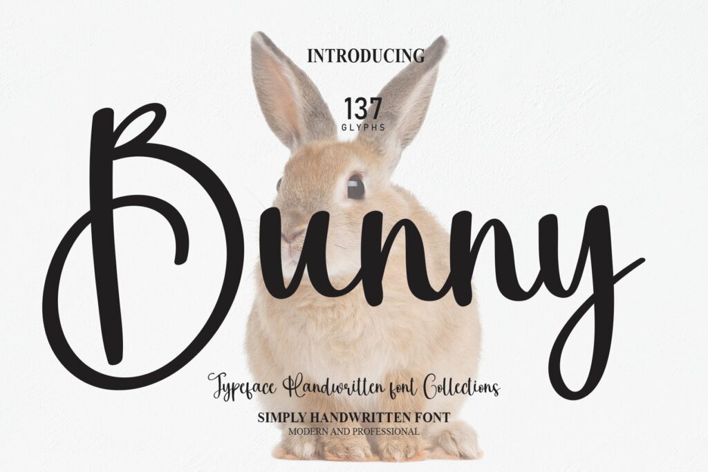 Bunny | Script Font – MasterBundles