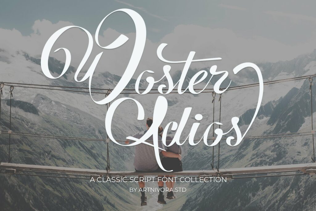 Woster Adios - Script Font – MasterBundles