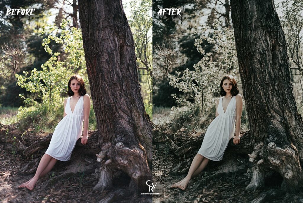 10 Moody Aesthetic Lightroom Presets – MasterBundles