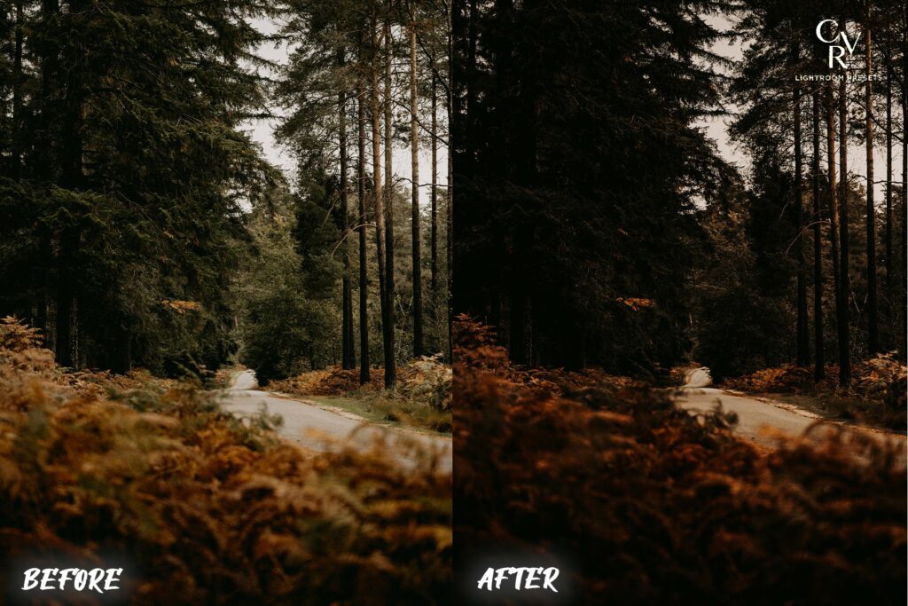 8 Autumn Season Lightroom Presets – MasterBundles
