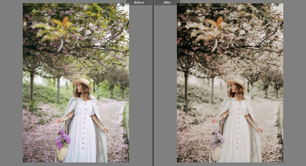 Persons Story - Lightroom Presets – MasterBundles