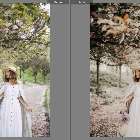 Persons Story - Lightroom Presets – MasterBundles