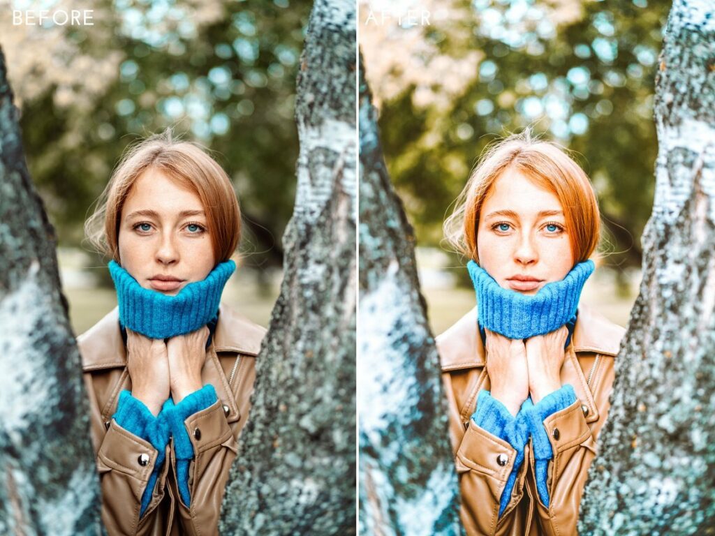 Explorer Lightroom Presets – MasterBundles