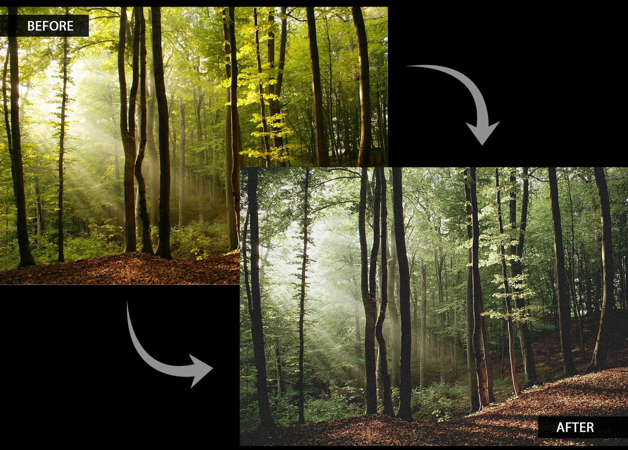 Nature Lightroom Presets bundle – MasterBundles