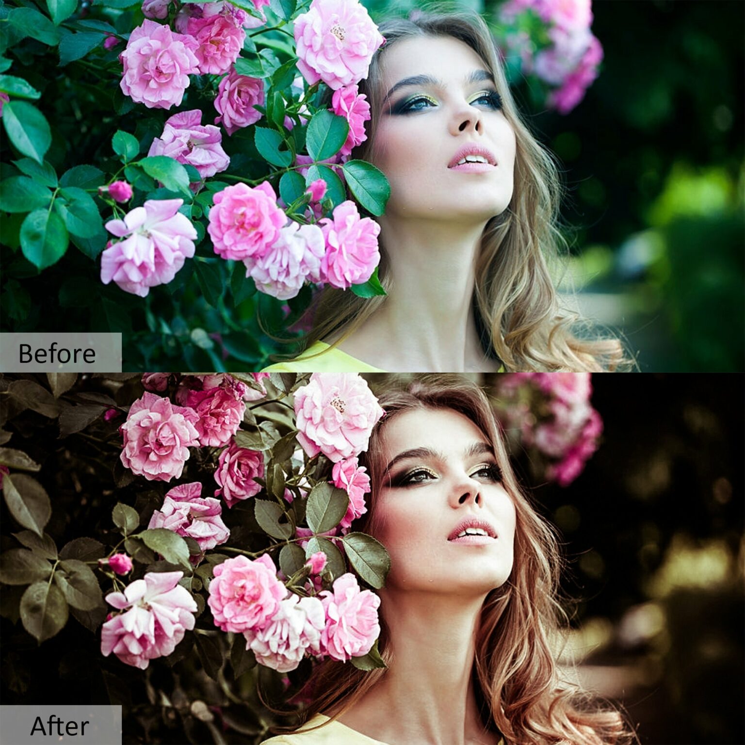 Creative Color Pro PRESETS – MasterBundles