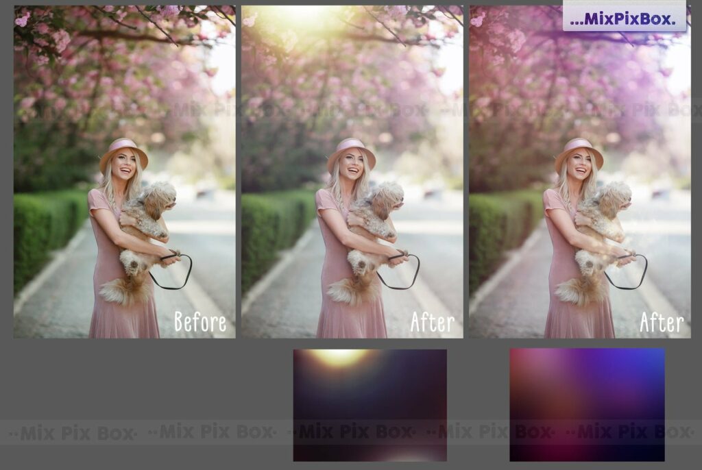 Summer Sun Haze Photo Overlays – MasterBundles