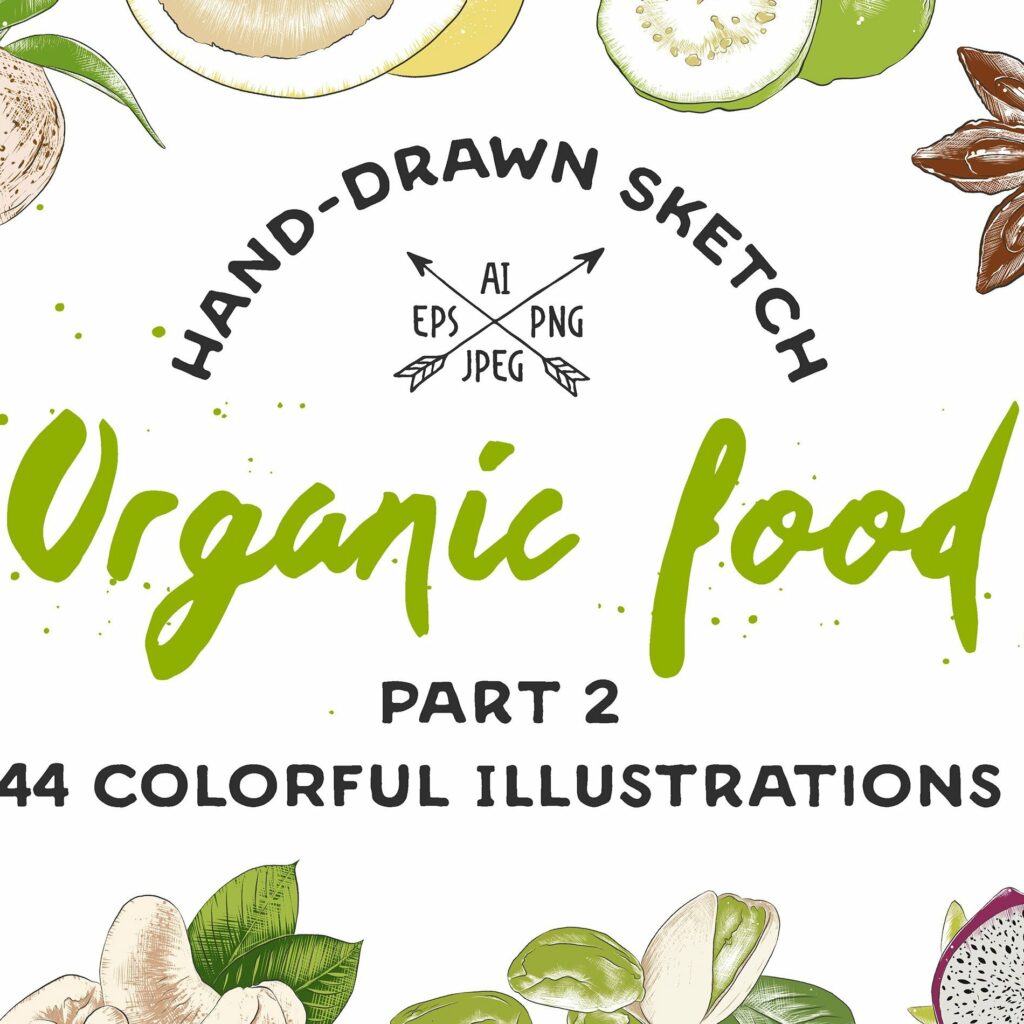 Set of 44 Organic Food Sketches – MasterBundles
