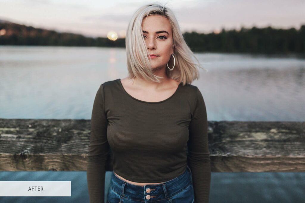 Moody Vibes Presets – MasterBundles