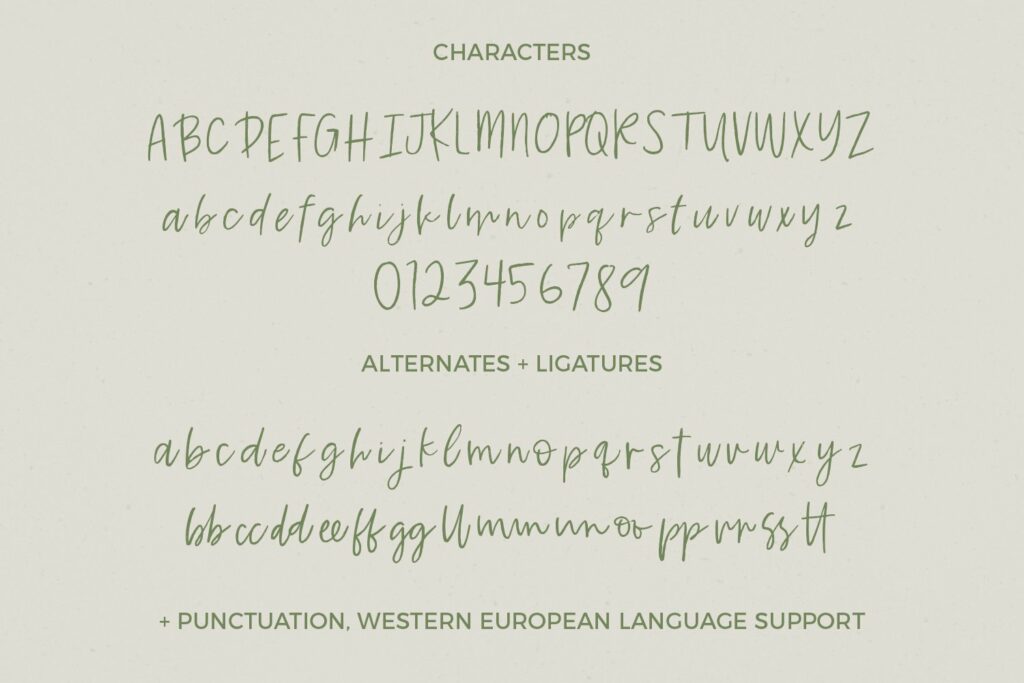 Key Largo Brush Script – MasterBundles