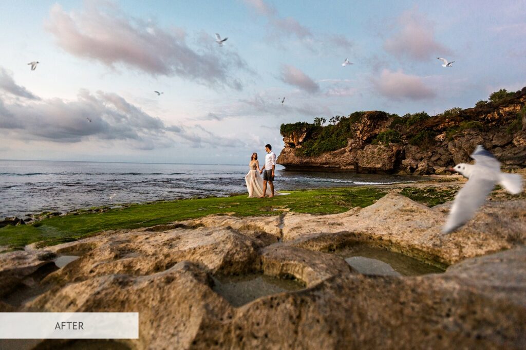 Flying Seagulls Photoshop Overlays – MasterBundles