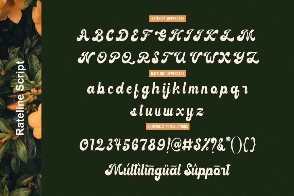 Rateline - Retro Script Font 2 Style – MasterBundles