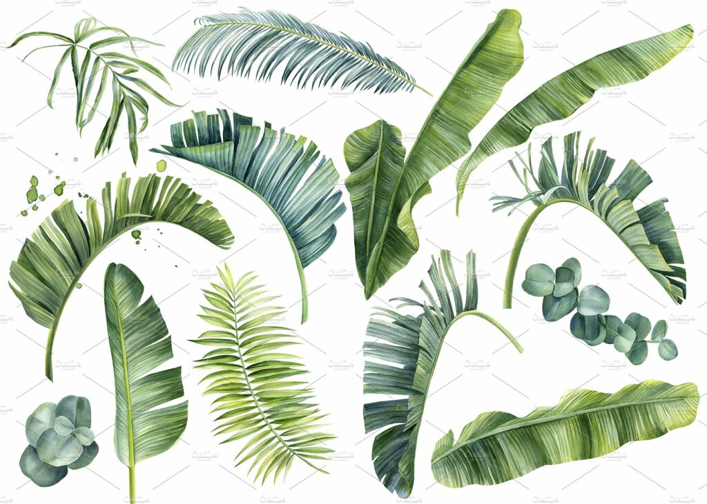 Watercolor Bundle tropical leaves – MasterBundles