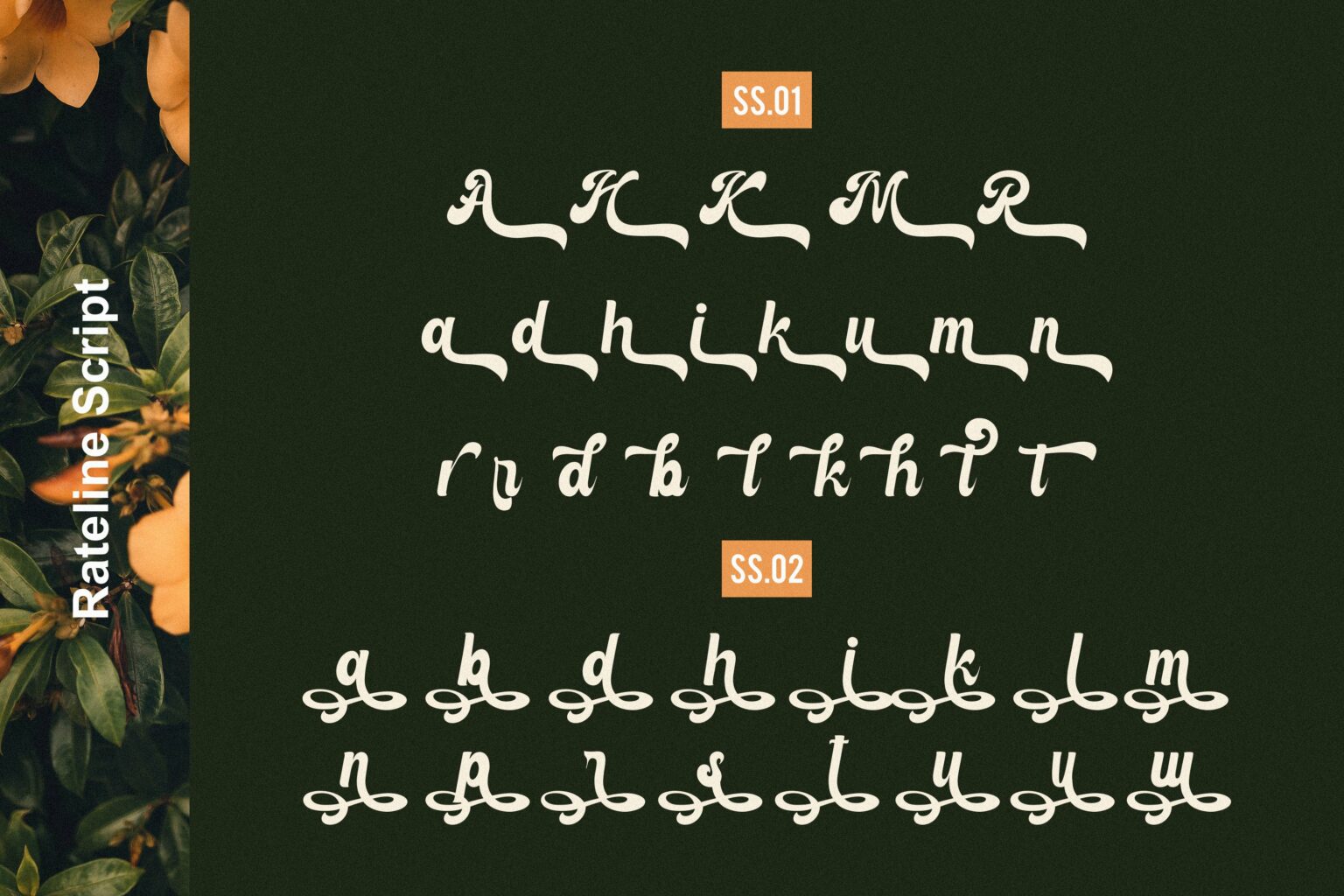 Rateline - Retro Script Font 2 Style – MasterBundles