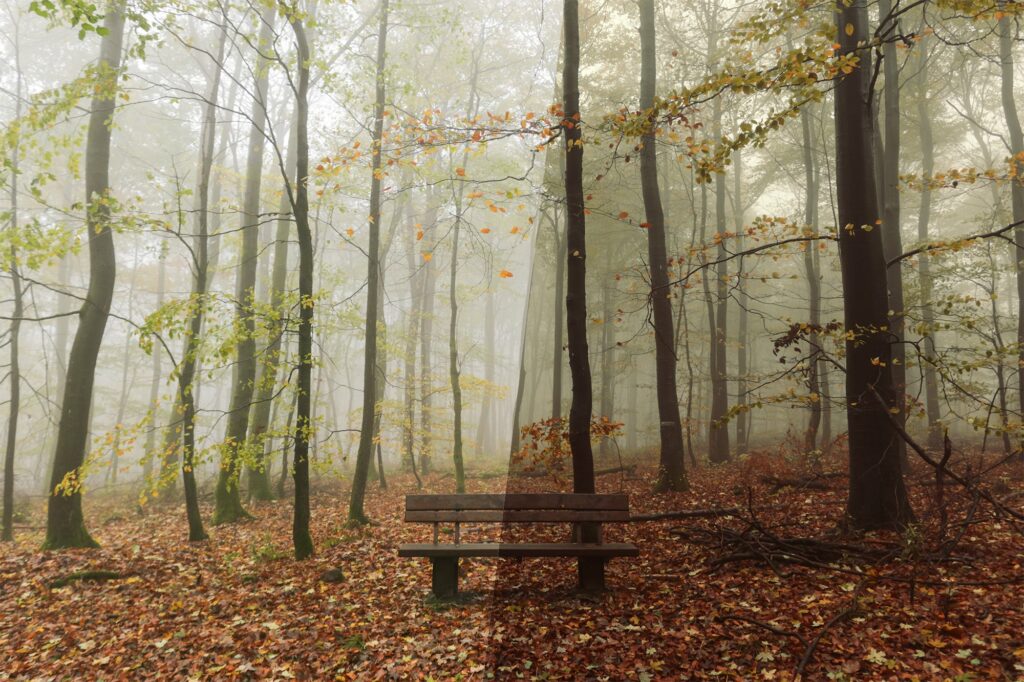 Fall - Autmun Photoshop Actions – MasterBundles