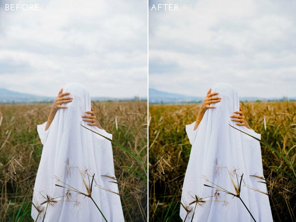 Explorer Lightroom Presets – MasterBundles