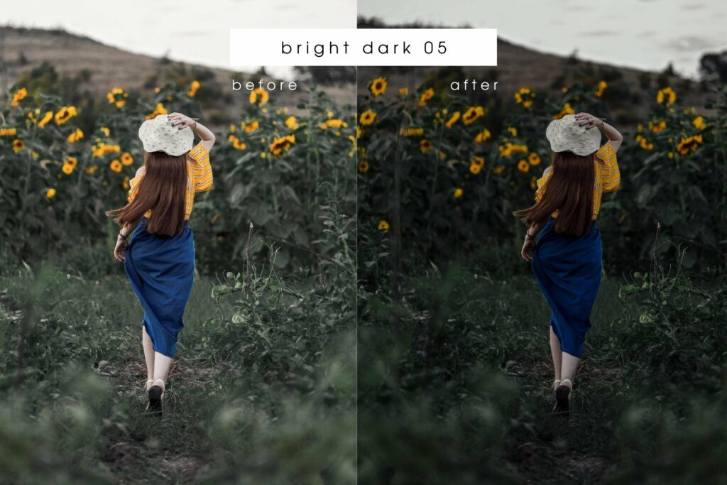 Bright Dark. Trendy Dark Preset. – MasterBundles