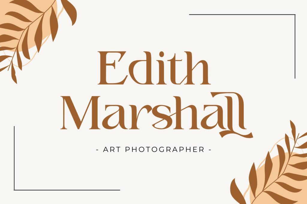 Misologist - Elegante Tipografia – MasterBundles