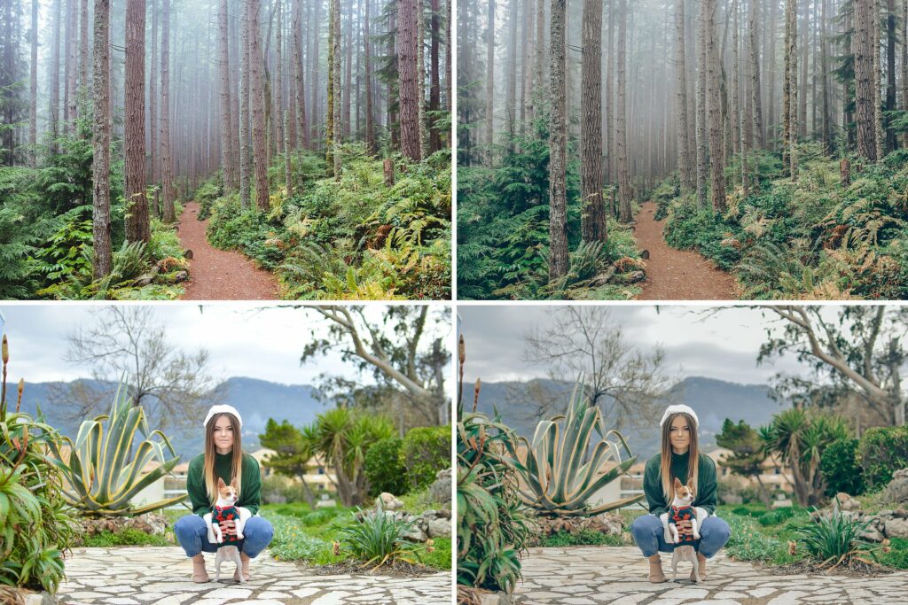 128. Fern Aesthetic – MasterBundles