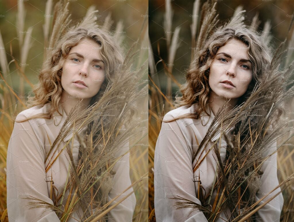 12x Lightroom Presets, Boho Chic – MasterBundles