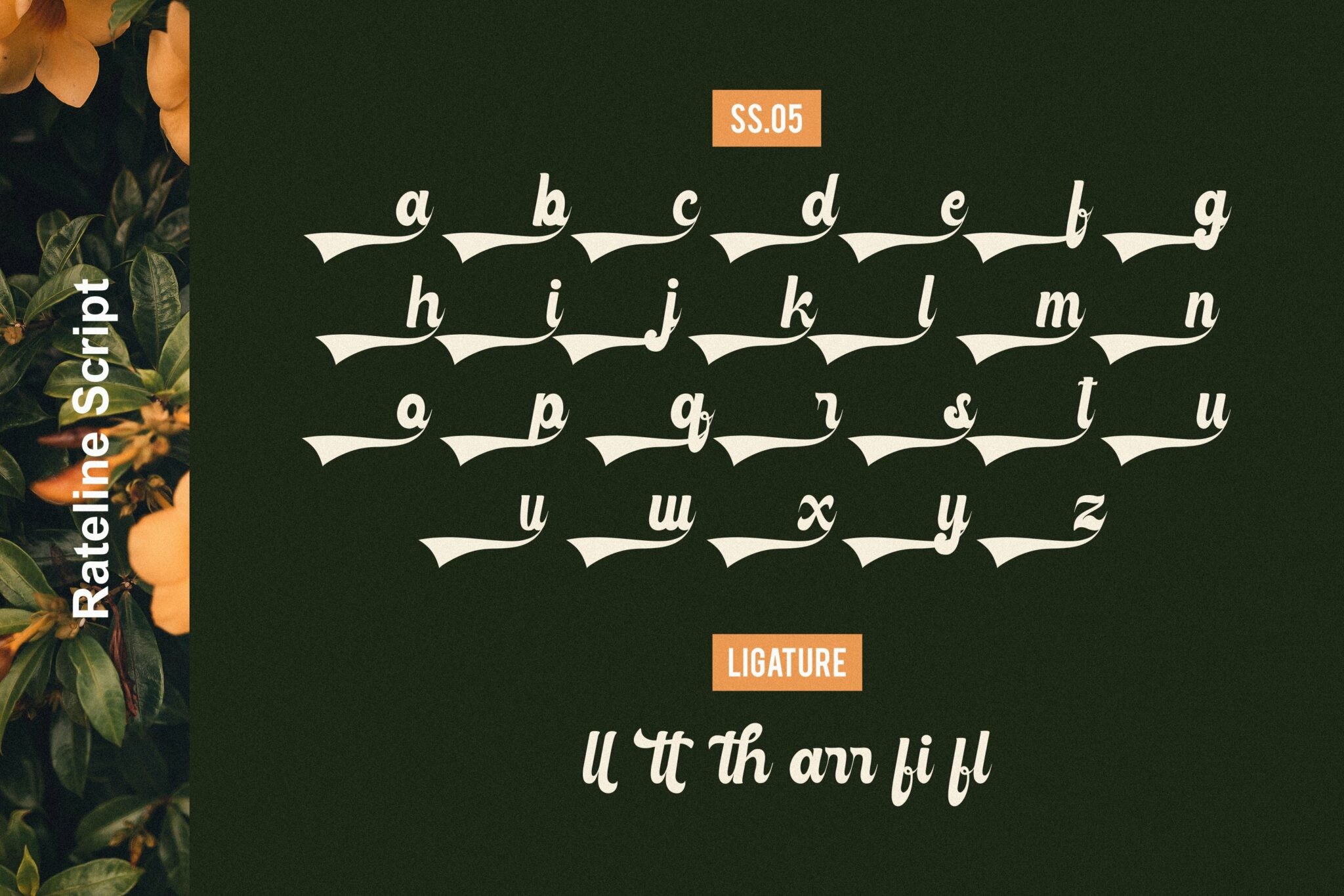 Rateline - Retro Script Font 2 Style – MasterBundles