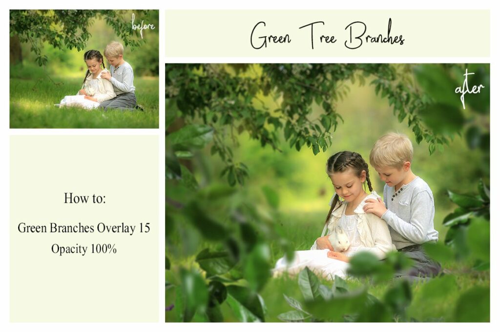 120 Green Tree Branches Overlays – MasterBundles