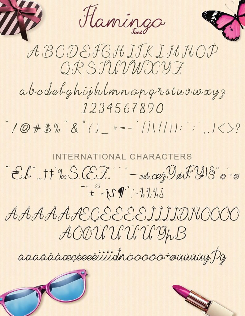 Hand Drawn Flamingo Font – MasterBundles