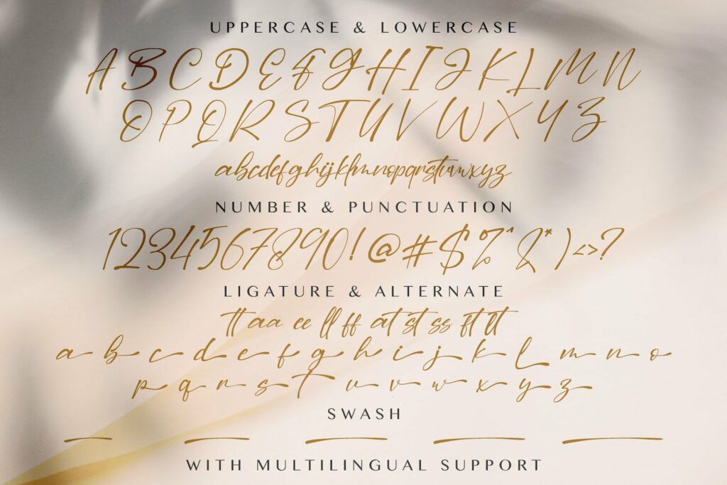 Dilan Script - Modern Script Font – MasterBundles