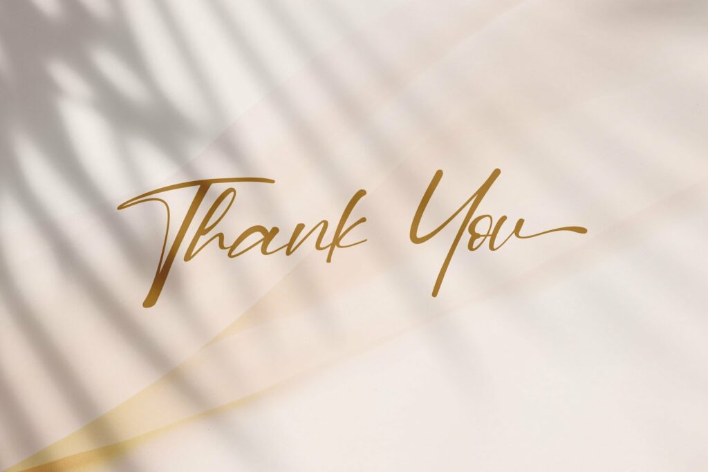 Dilan Script - Modern Script Font – MasterBundles