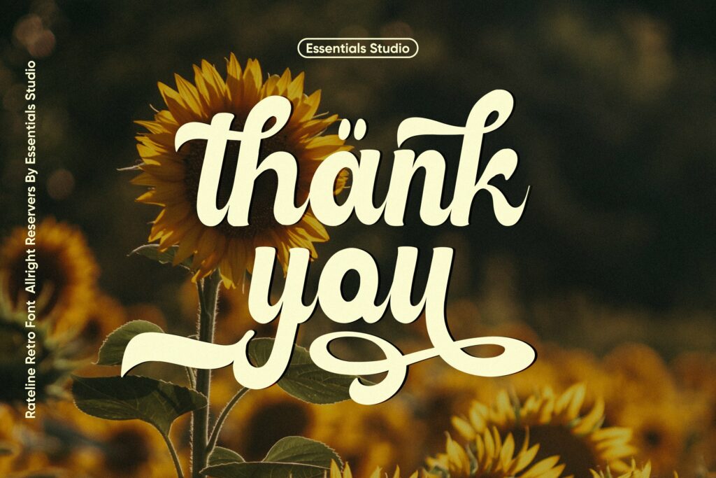 Rateline - Retro Script Font 2 Style – MasterBundles